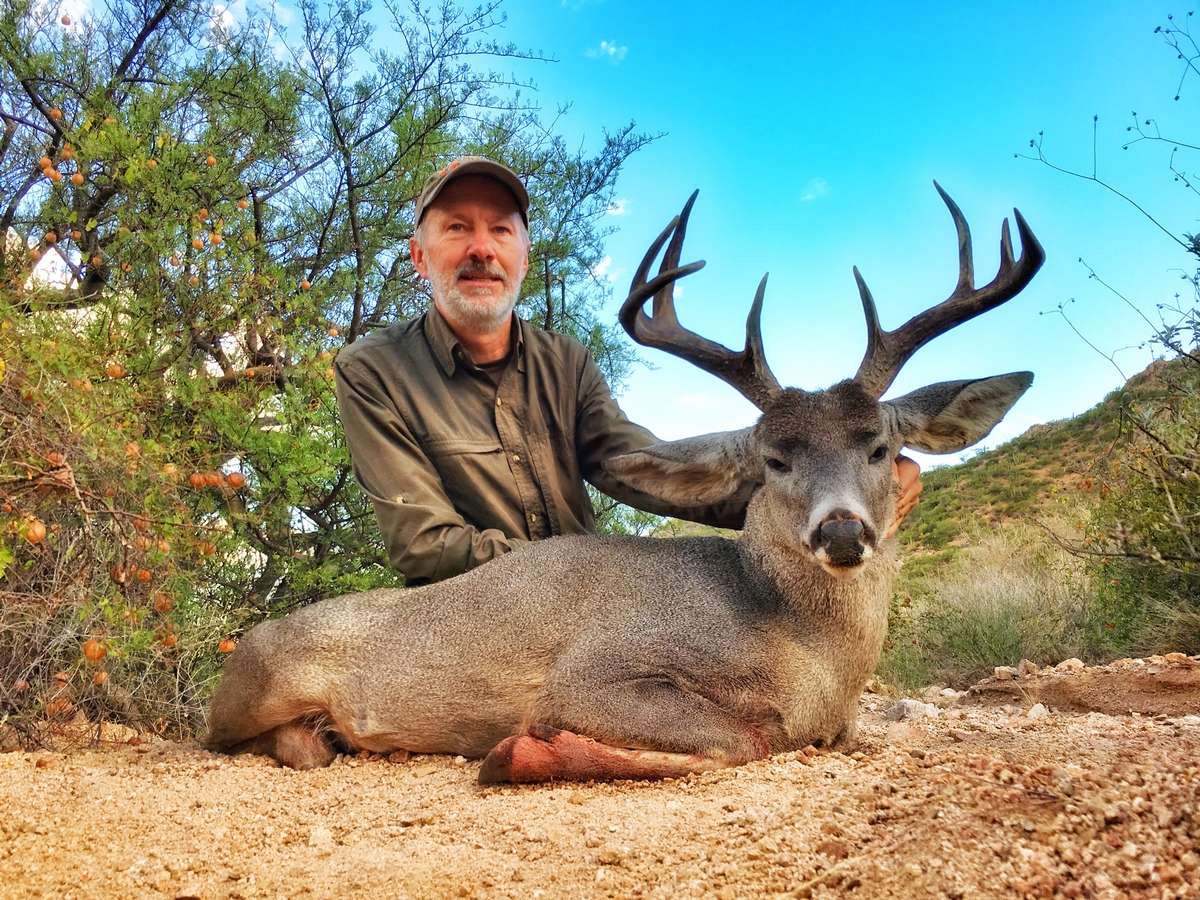 Coues Deer Hunts - Desert Sheep Outfitters