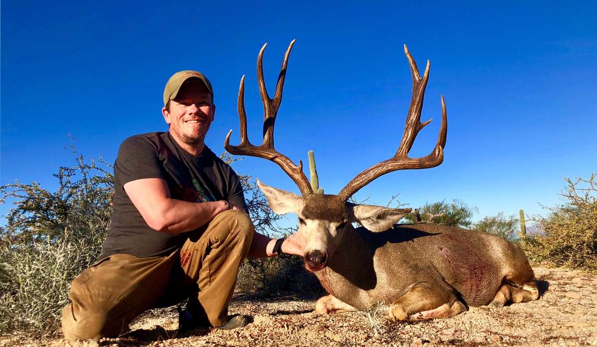 Sonora Mule Deer - Desert Sheep Outfitters